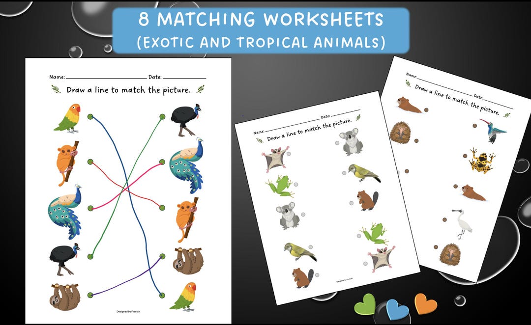 Printable Matching Worksheets, Match the Picture, Kindergarten ...