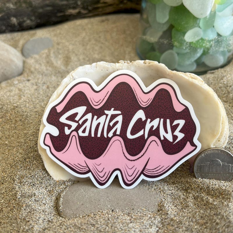 Santa Cruz Stickers - Etsy