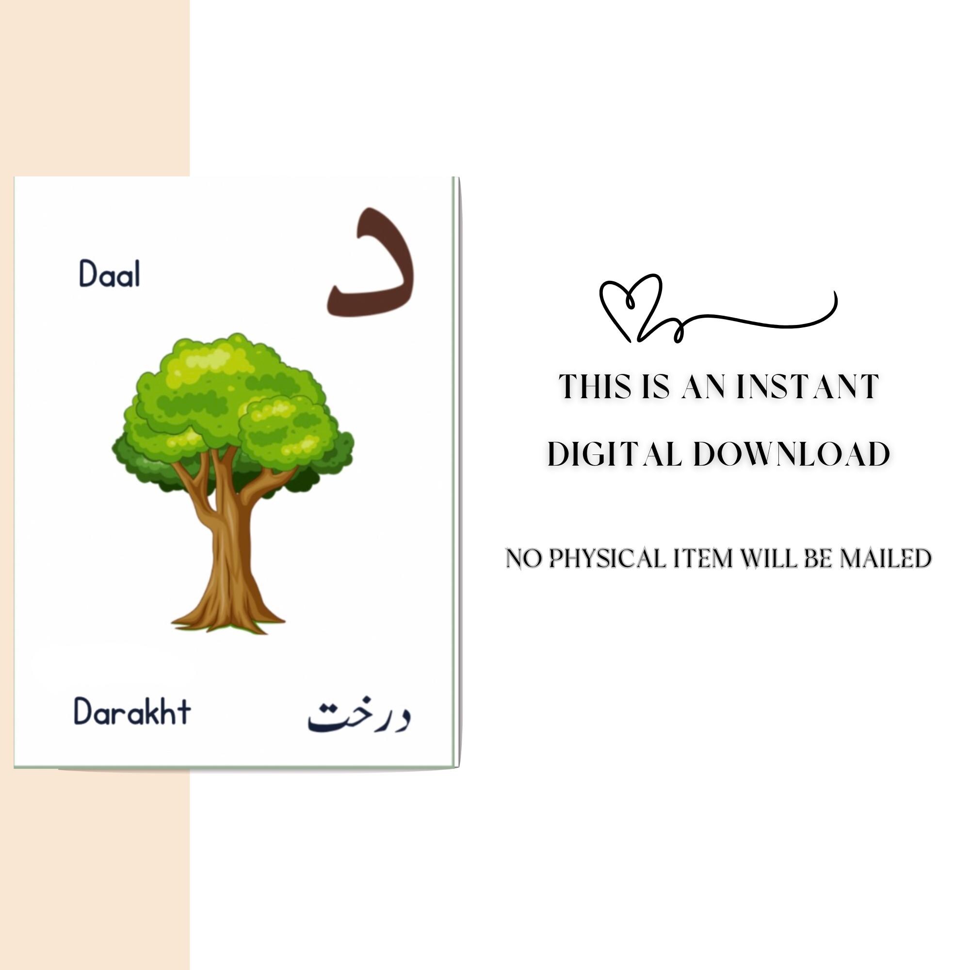 Urdu Alphabet Flash Cards, Educational Flash Cards, Urdu Language Cards, Alphabet Flash Cards ...