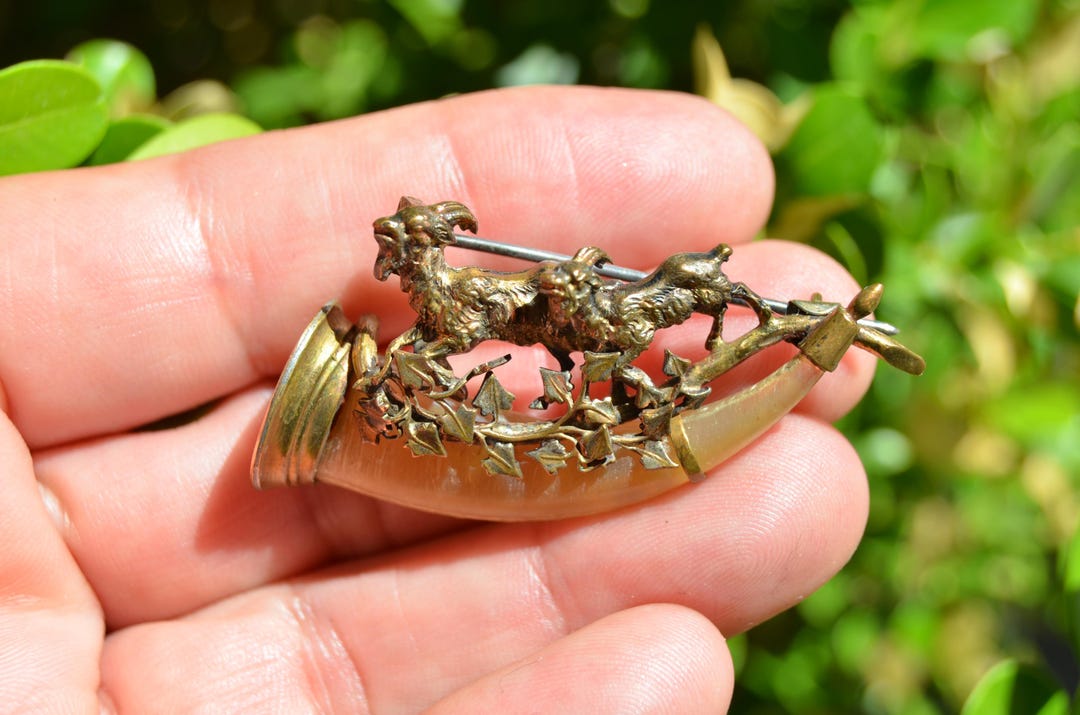 Unusual GF Trophy Claw Brooch With Mountain Goats - Etsy