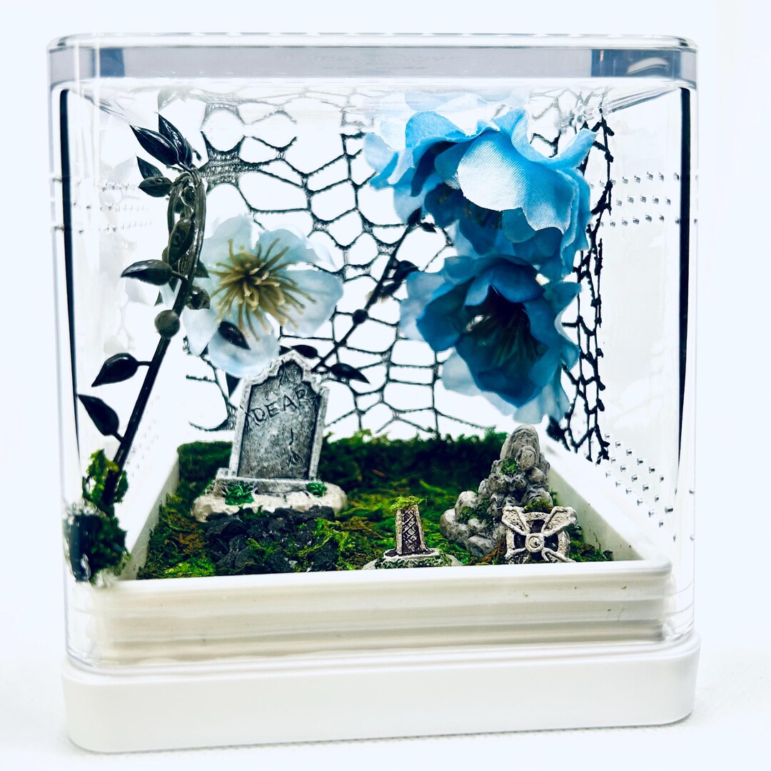 Blue Graveyard II 4X4X4 Enclosure - Etsy