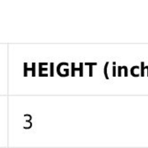 TACO TUESDAY Battlebot Sticker - Etsy