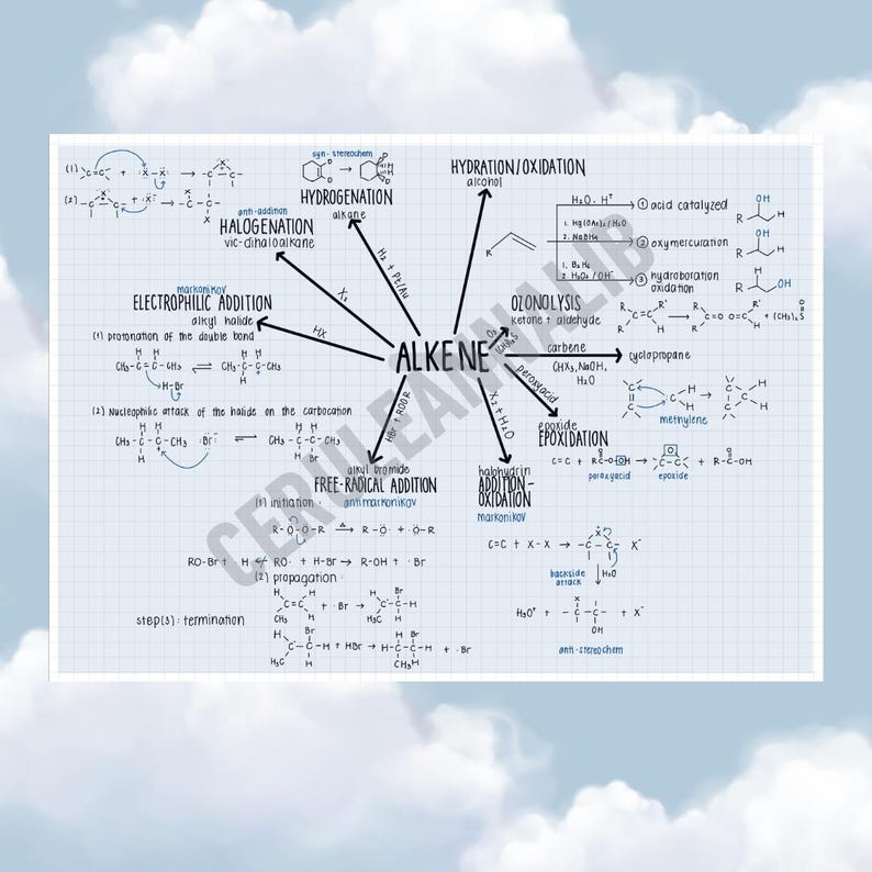 Organic Chemistry [CB1103] Mind-maps - Etsy