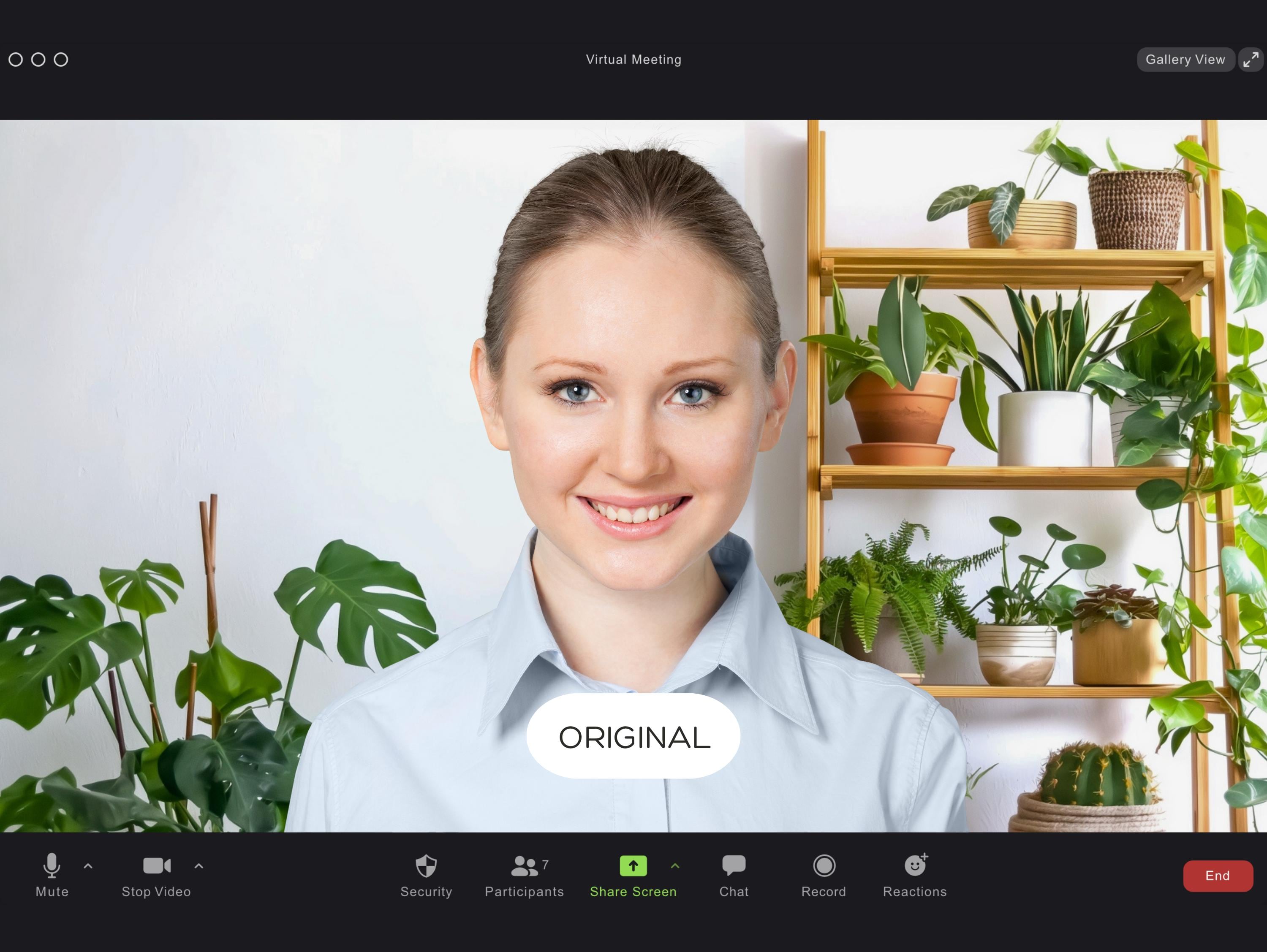 Zoom Background Plants, Work From Home, Zoom Background Office, Zoom ...
