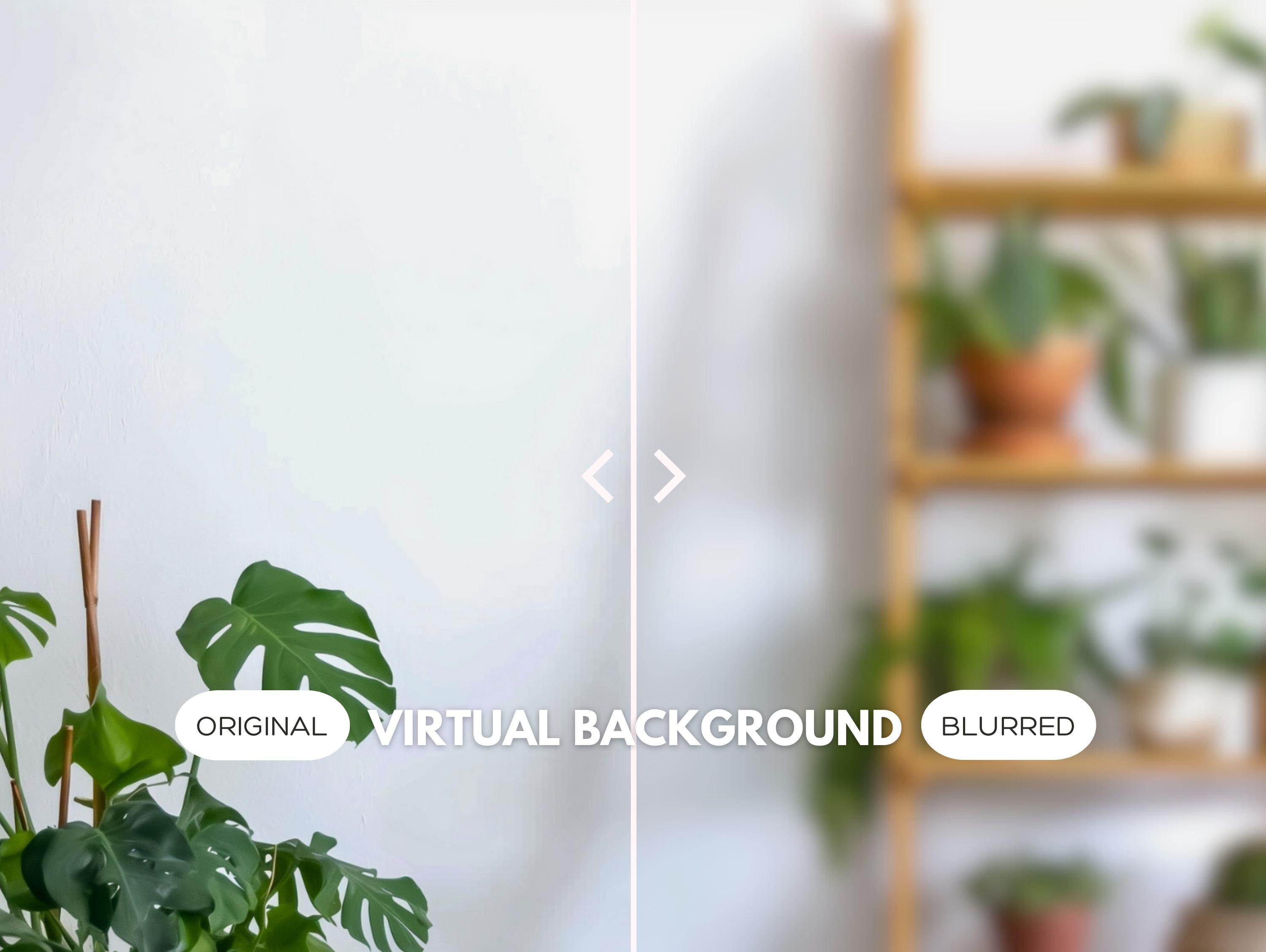 Zoom Background Plants, Work From Home, Zoom Background Office, Zoom ...