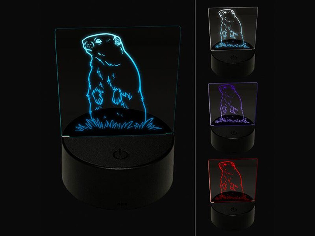 Groundhog Woodchuck Standing up 3D Illusion LED Night Light Sign ...
