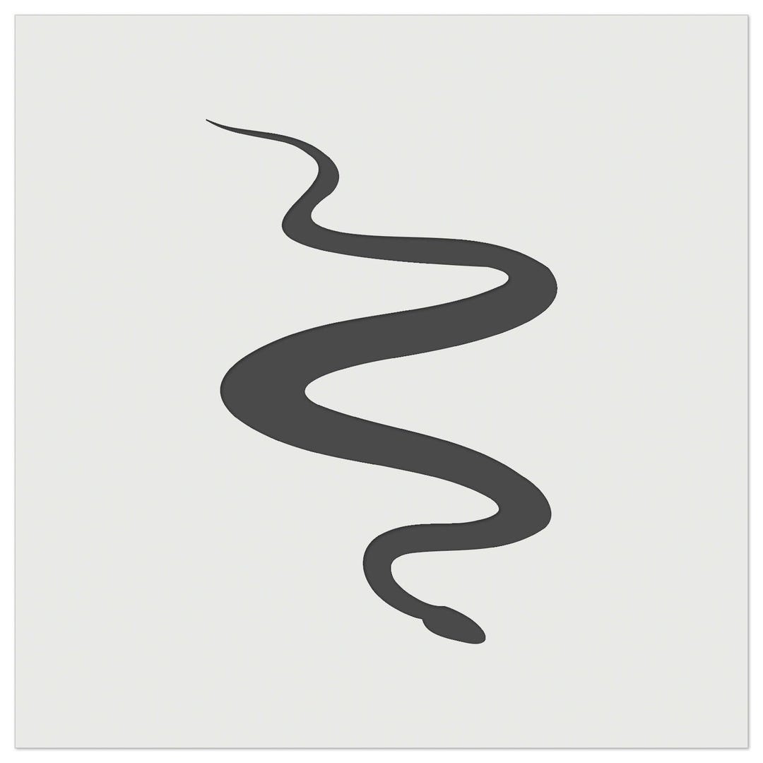 Slithering Snake Solid Wall Cookie DIY Craft Reusable Stencil - Etsy