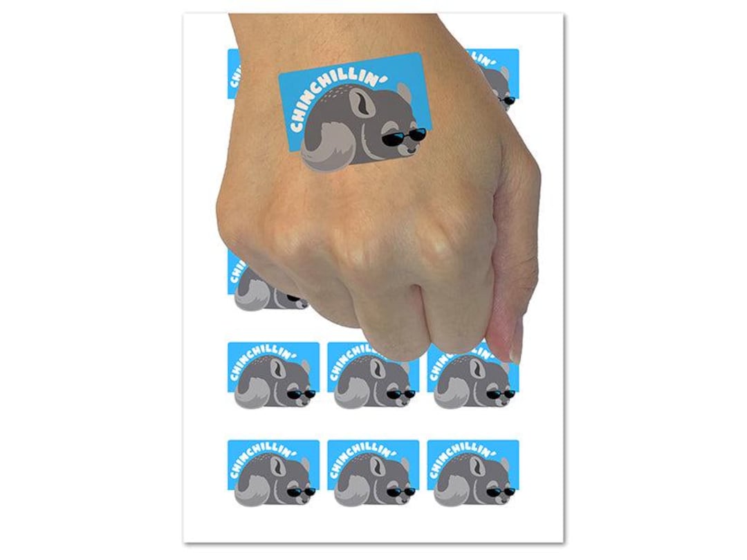 Chinchilla Chinchillin Chilling Cool Sunglasses Temporary Tattoo Water ...