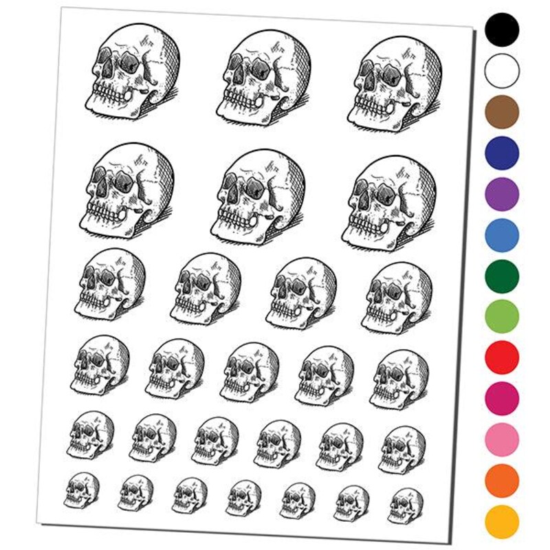Realistic Fake Human Skull - Etsy