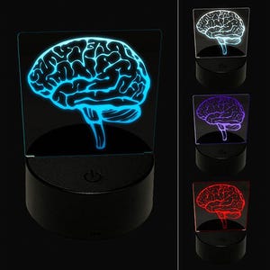 Human Brain With Cerebellum and Medulla Oblongata 3D Illusion LED Night ...