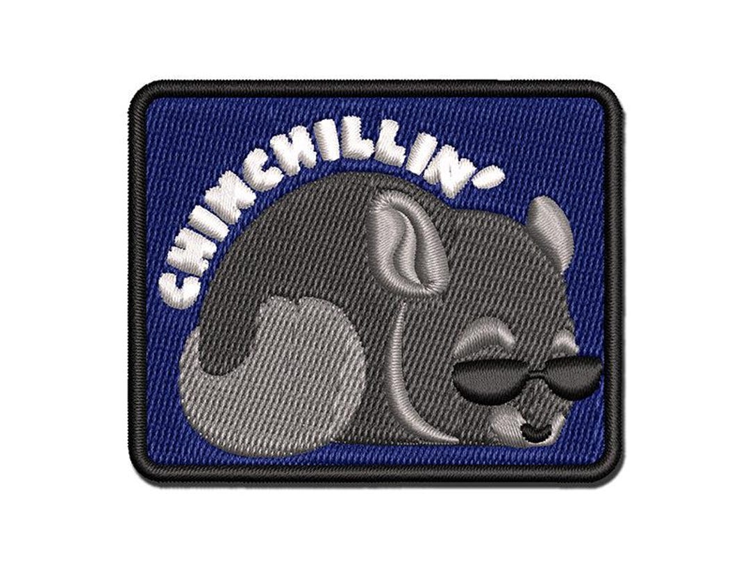 Chinchilla Chinchillin Chilling Cool Sunglasses Multi-color Embroidered ...