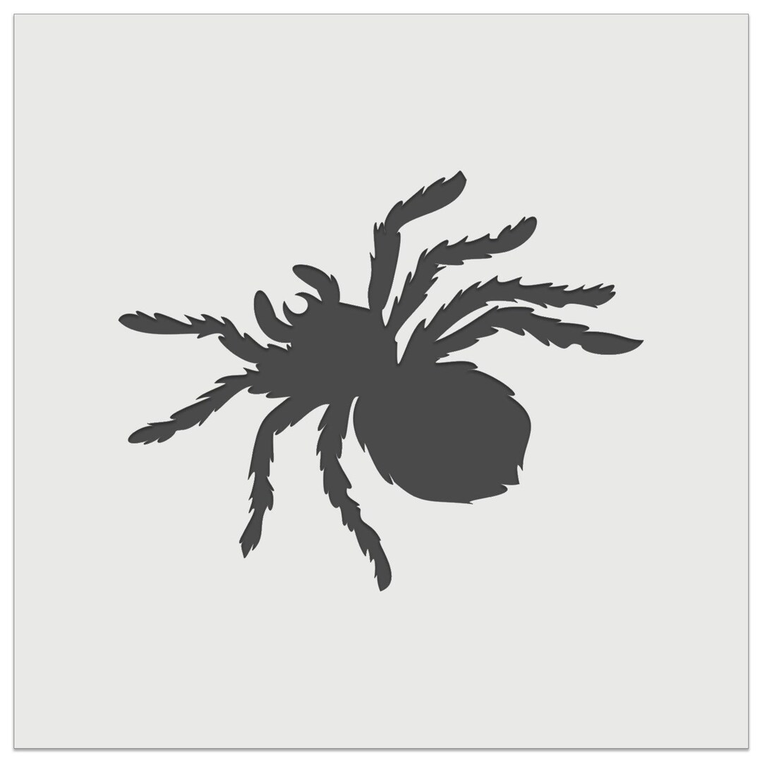 Tarantula Spider Solid Wall Cookie DIY Craft Reusable Stencil - Etsy