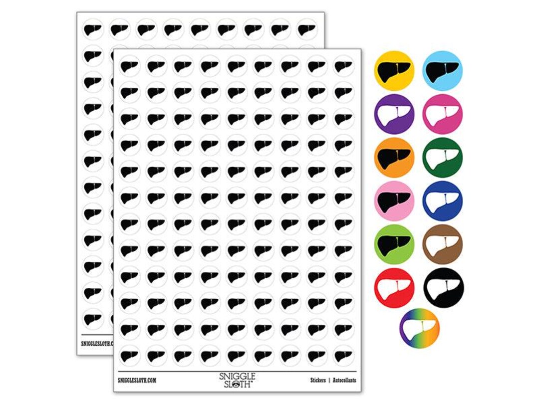 Liver Organs Anatomy Body Part 200+ 0.50" Round Stickers - Etsy