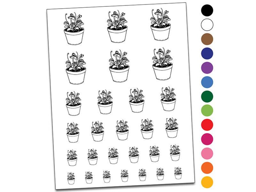 Venus Flytrap Carnivorous Potted Plant Temporary Tattoo Water Resistant ...