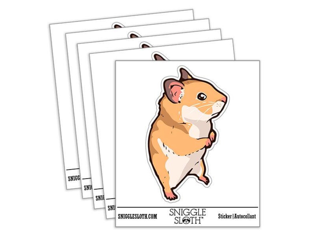 Water Bottle Sticker Set Wary Suspicious Syrian Hamster Standing Cute ...