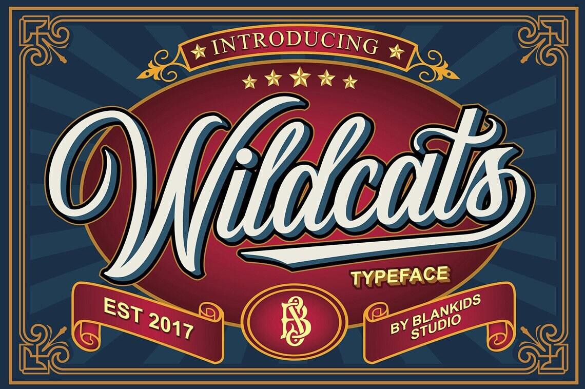Wildcats Font, Retro Font, Groovy Font, Script Font, Beautiful Font ...