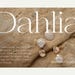 Chilia Font, Elegant Font, Calligraphy Font, Modern Font, Commercial ...