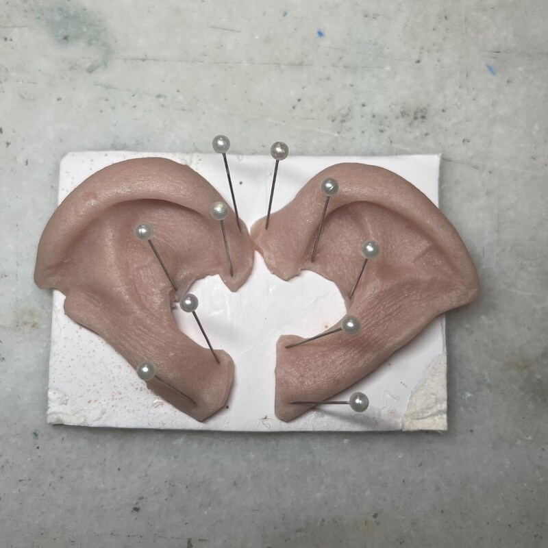 Prosthetic Pig Nose - Etsy