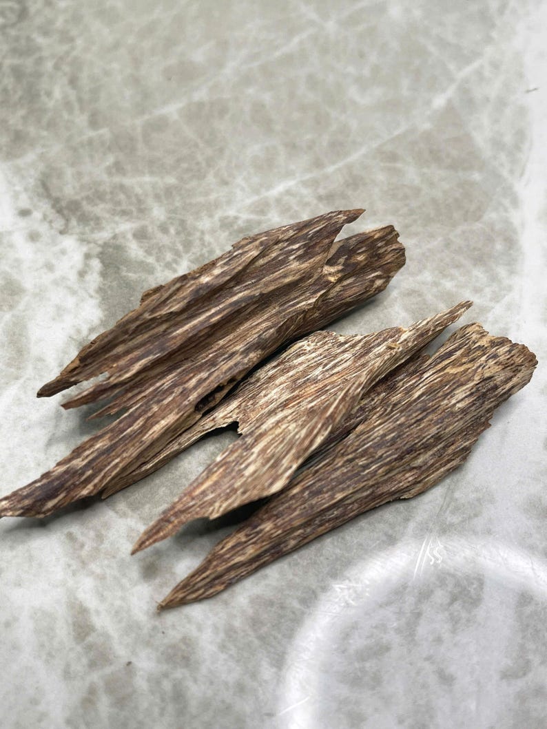 Vietnam Agarwood Oud 7gram Aromatic Agarwood Chips, Oud Chips, Oud Oil ...