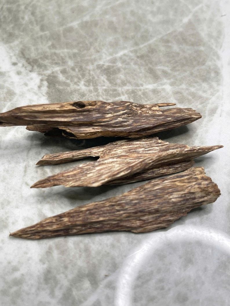 Vietnam Agarwood Oud 7gram Aromatic Agarwood Chips, Oud Chips, Oud Oil ...