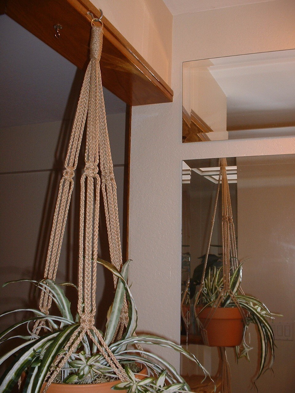 Macrame Plant Hanger SAND - Etsy