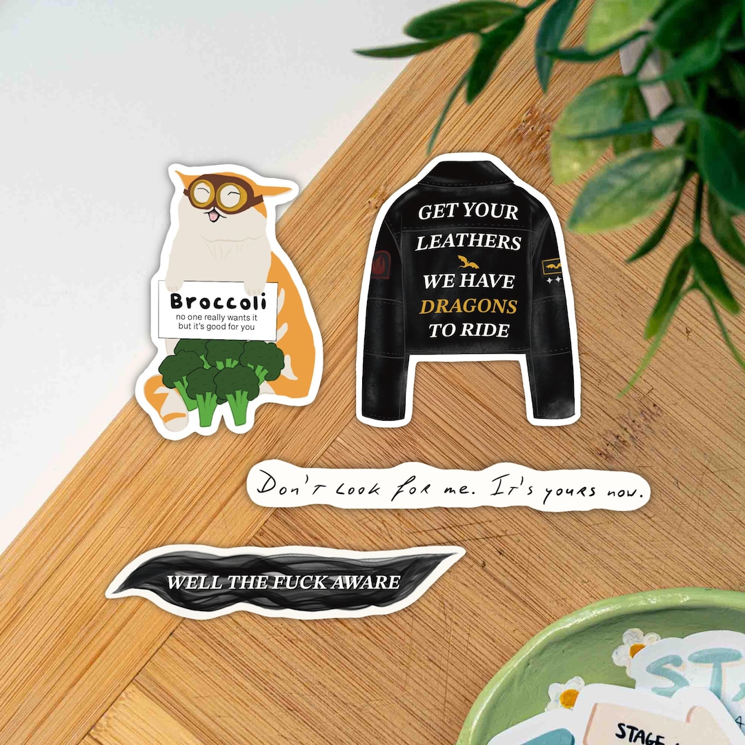 Onyx Storm Stickers of Xaden Quotes Stickers of Flight Jacket Broccoli ...