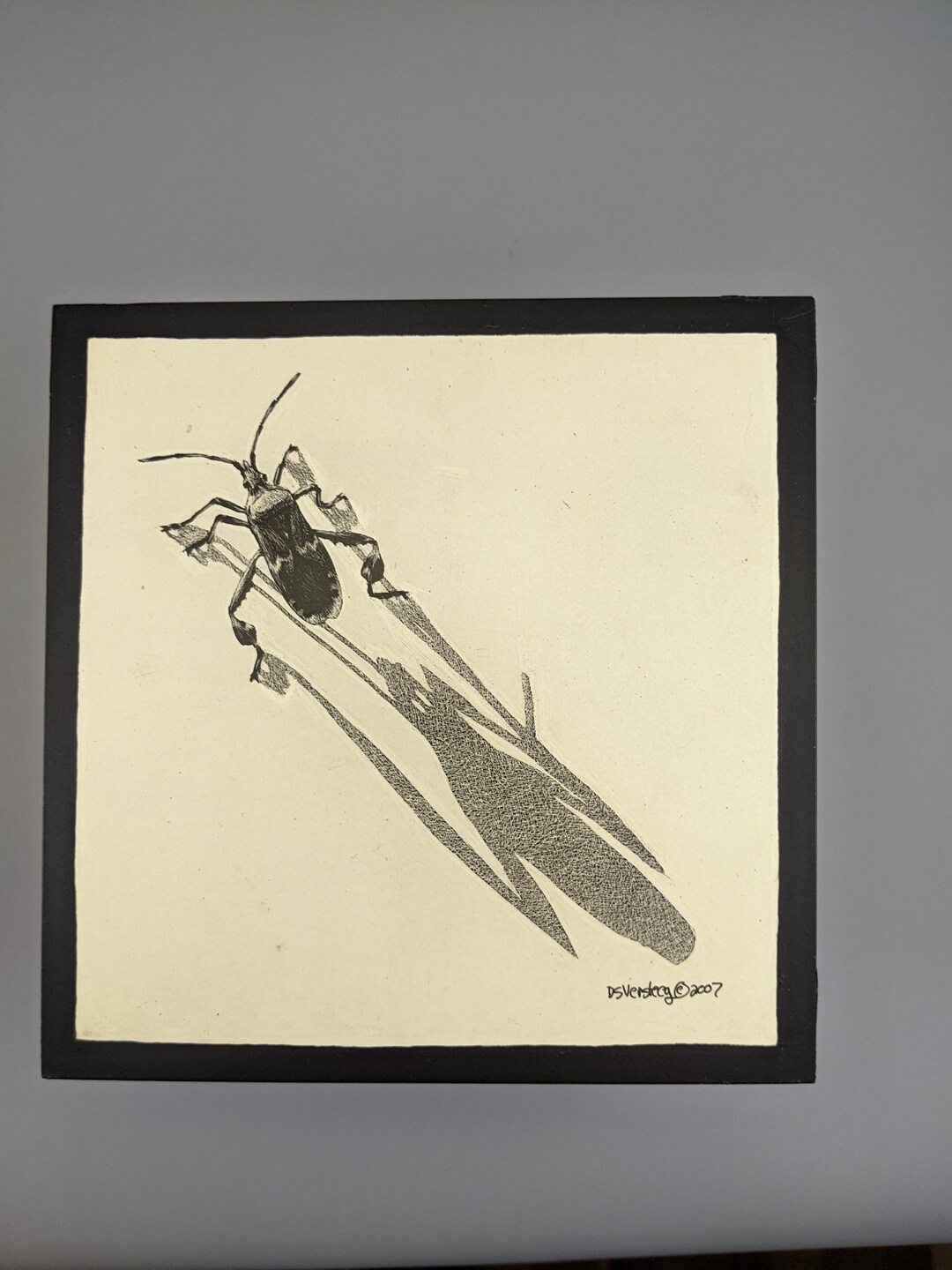 Leaf-footed Bug Scratchboard Art on Black Wooden Box - Etsy