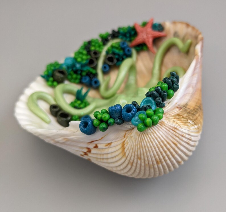 Pale Green Octopus, Seashell, Polymer Clay Sculpture, Starfish, OOAK ...