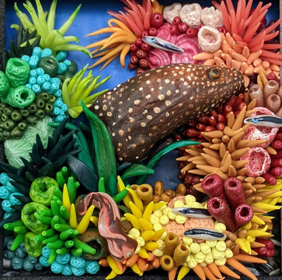 Moray Eel, Polymer Clay Sculpture, Undersea, Diorama, Wildlife, Sea ...