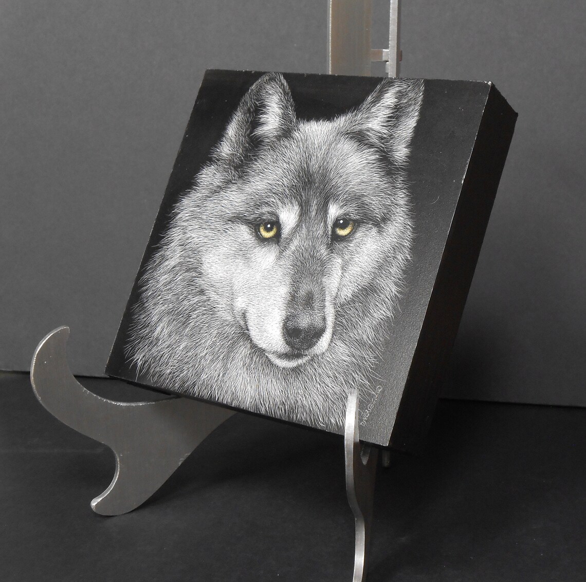 Marcus, Gray Wolf, Original Scratchboard Drawing, Endangered Species ...
