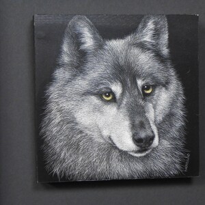 Gray Wolf Scratchboard Drawing: Wildlife Art, Golden Eyes - Etsy