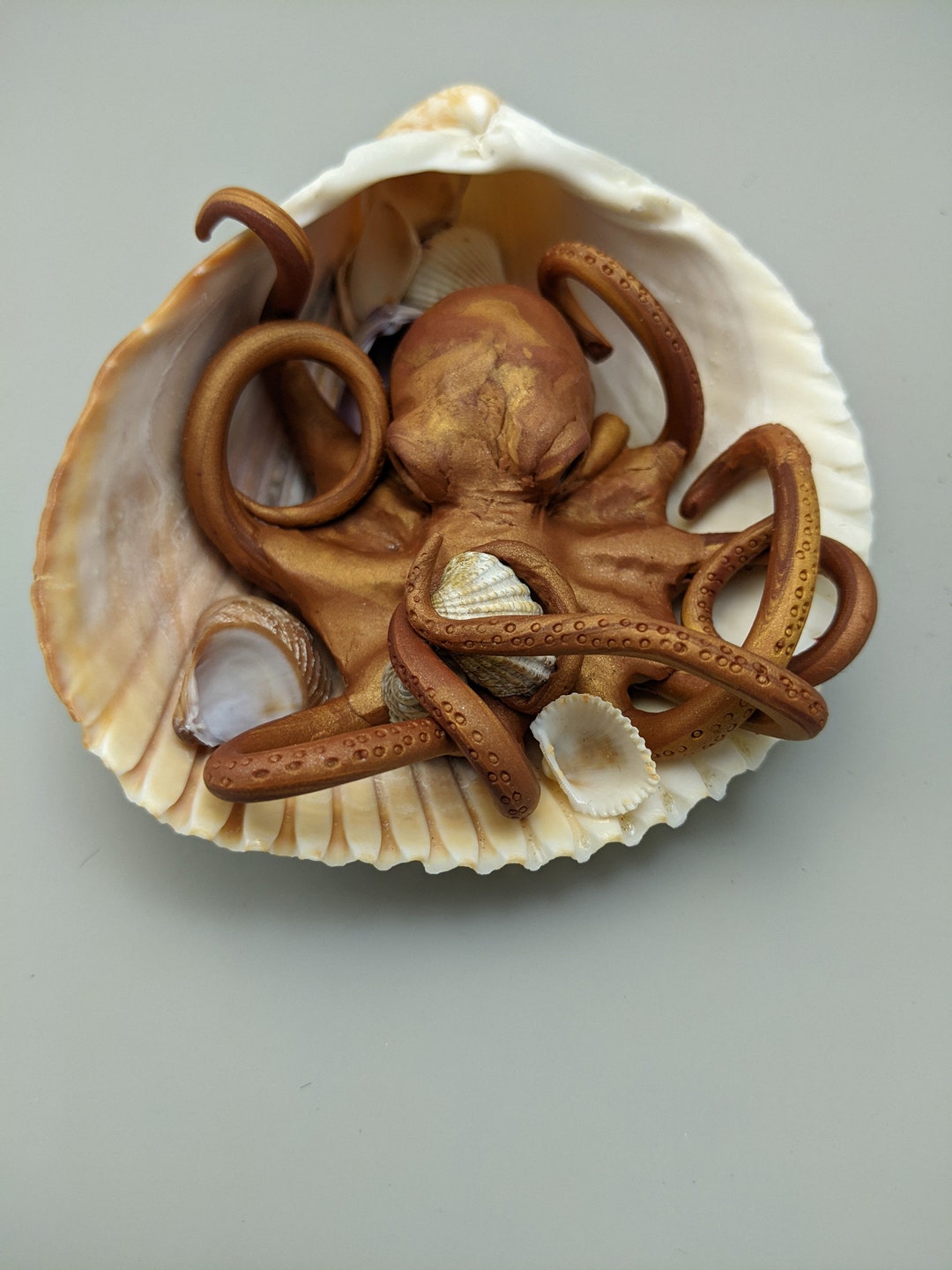 Little Octopus in a Sea Shell, Polymer Clay, Undersea, Nature - Etsy