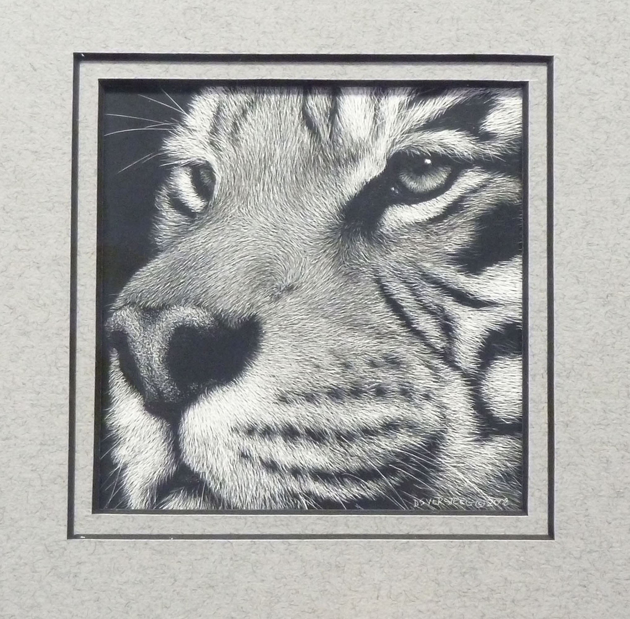 Framed Tiger Scratchboard Drawing: Wildlife Art, Endangered Species - Etsy