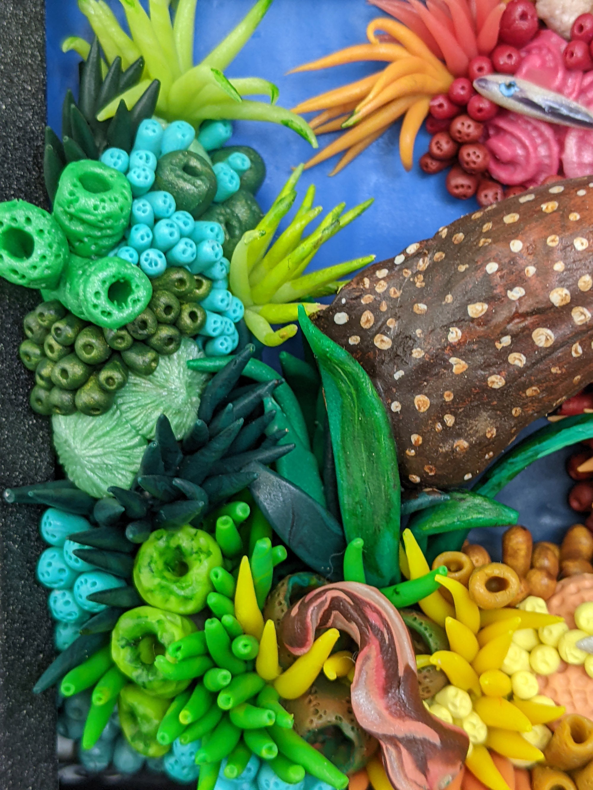 Moray Eel, Polymer Clay Sculpture, Undersea, Diorama, Wildlife, Sea ...