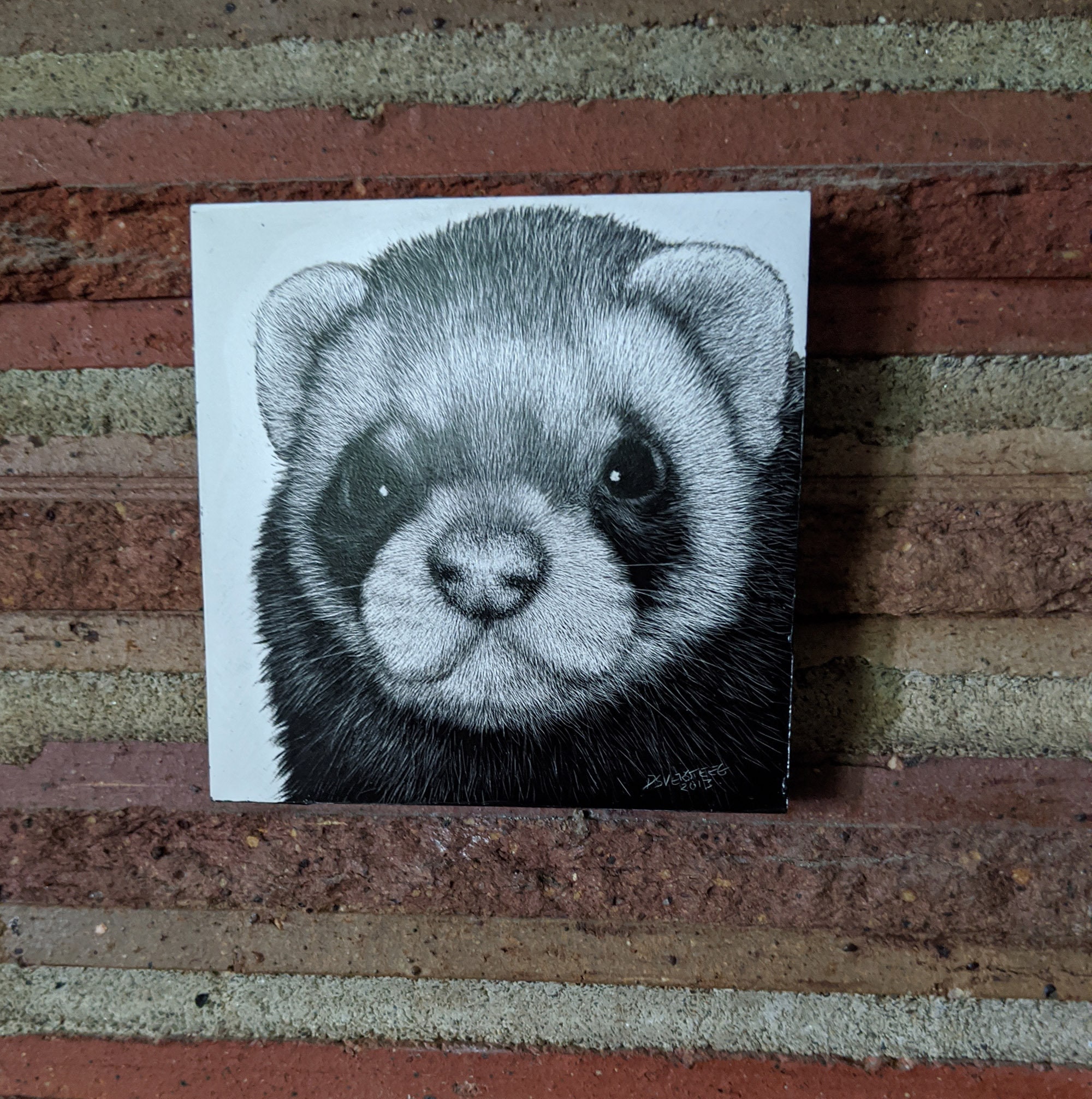 Ferris, Ferret, Scratchboard, Original, Drawing, Mustelidae, Wildlife ...