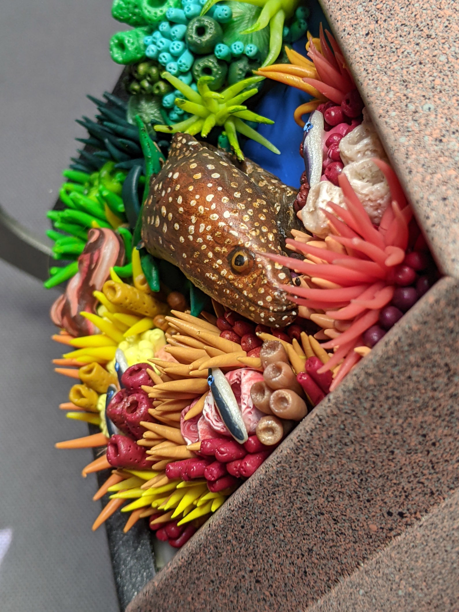 Moray Eel, Polymer Clay Sculpture, Undersea, Diorama, Wildlife, Sea ...