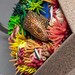 Moray Eel, Polymer Clay Sculpture, Undersea, Diorama, Wildlife, Sea ...