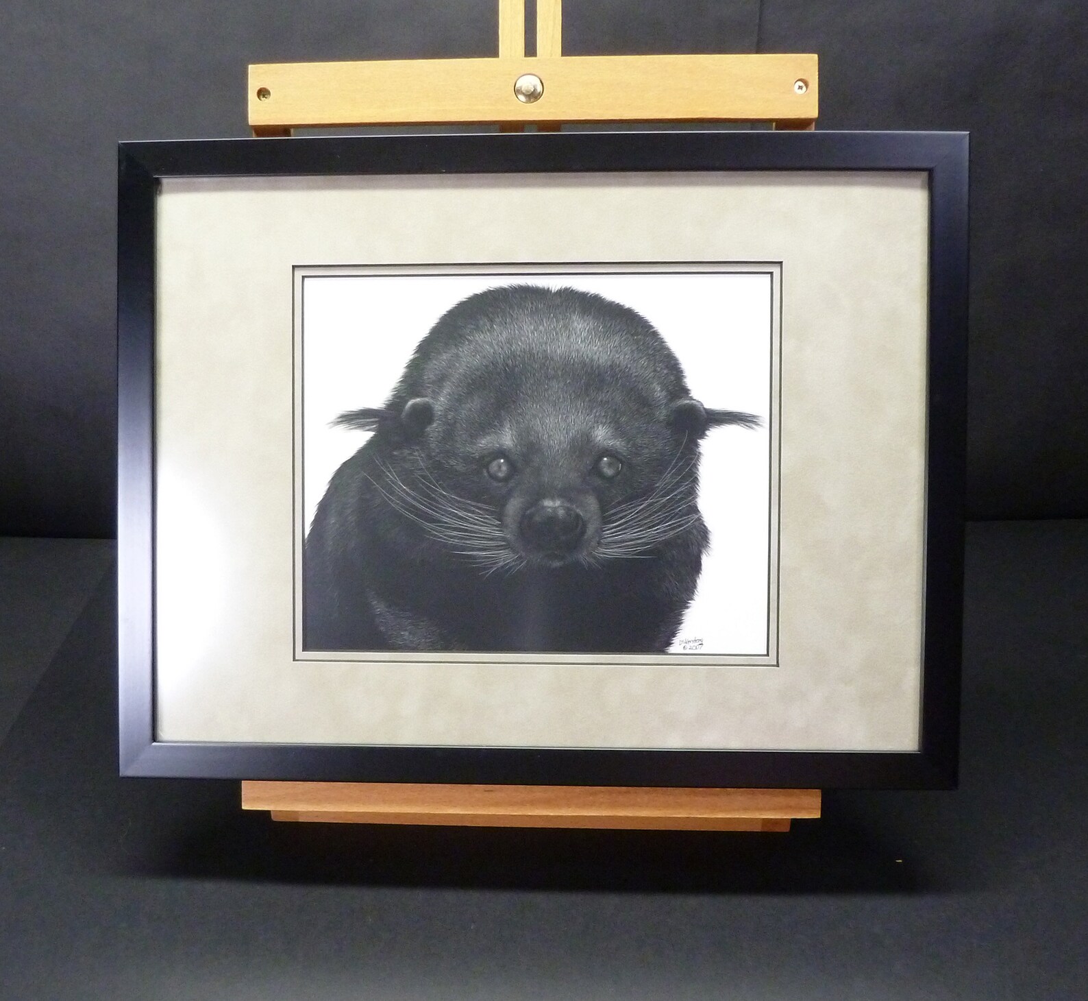 Rungus, a Binturong, Original Scratchboard Drawing, Bear-cat, Forest ...