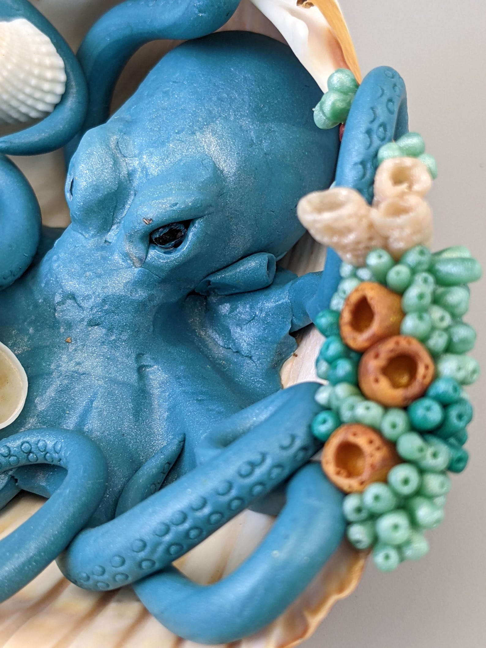 Teal Blue Octopus in a Sea Shell. Polymer Clay Sculpture. - Etsy