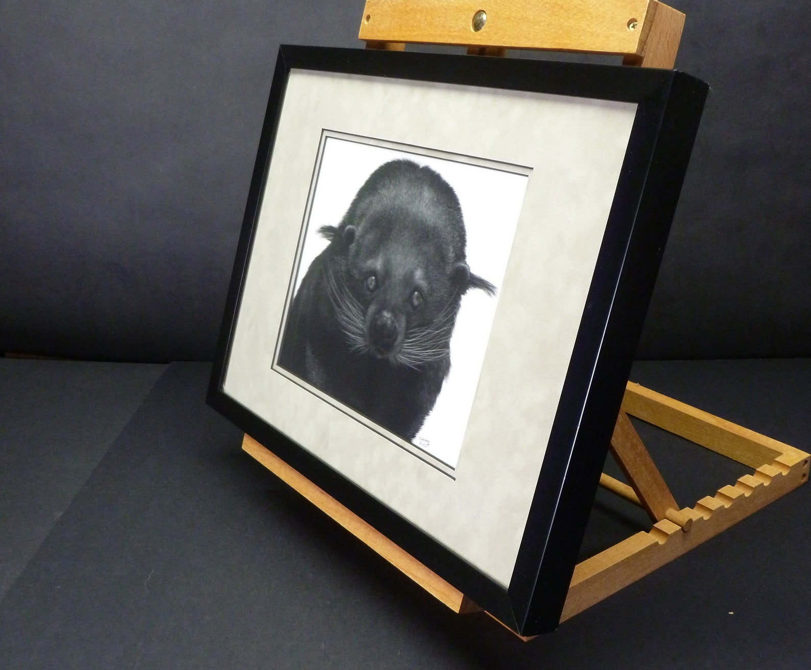 Rungus, a Binturong, Original Scratchboard Drawing, Bear-cat, Forest ...