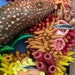 Moray Eel, Polymer Clay Sculpture, Undersea, Diorama, Wildlife, Sea ...