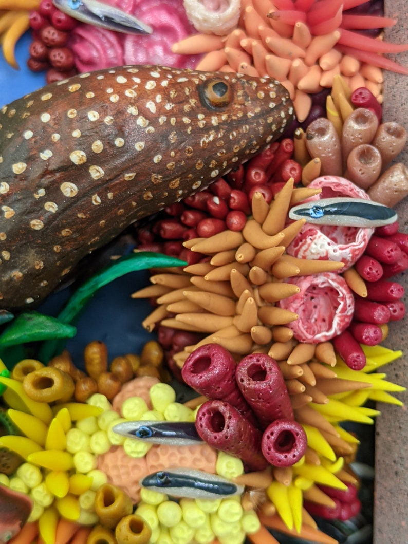 Moray Eel, Polymer Clay Sculpture, Undersea, Diorama, Wildlife, Sea ...
