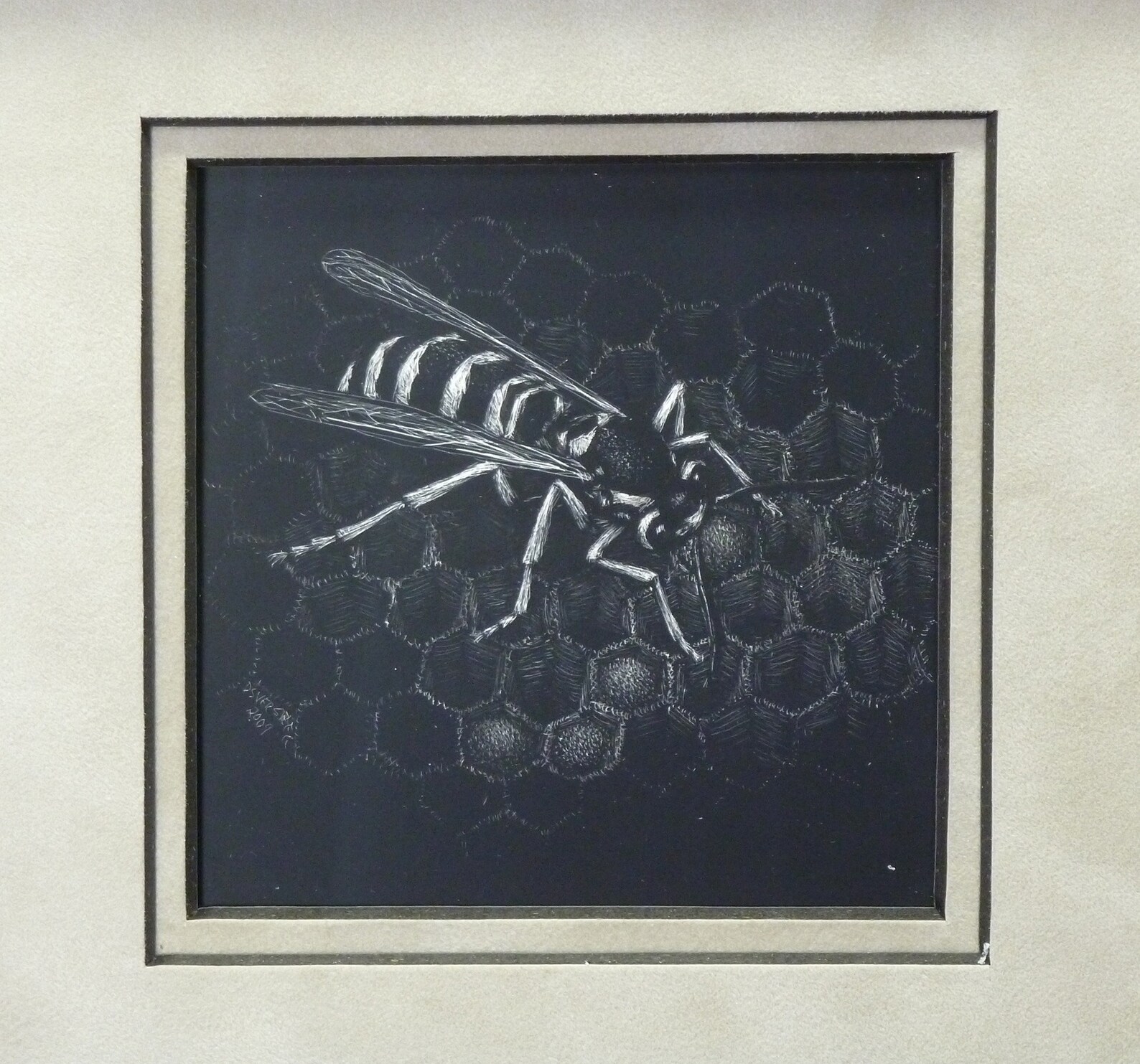 Yellow Jacket Wasp, Original Scratchboard Drawing, Insect, Art, Desert ...