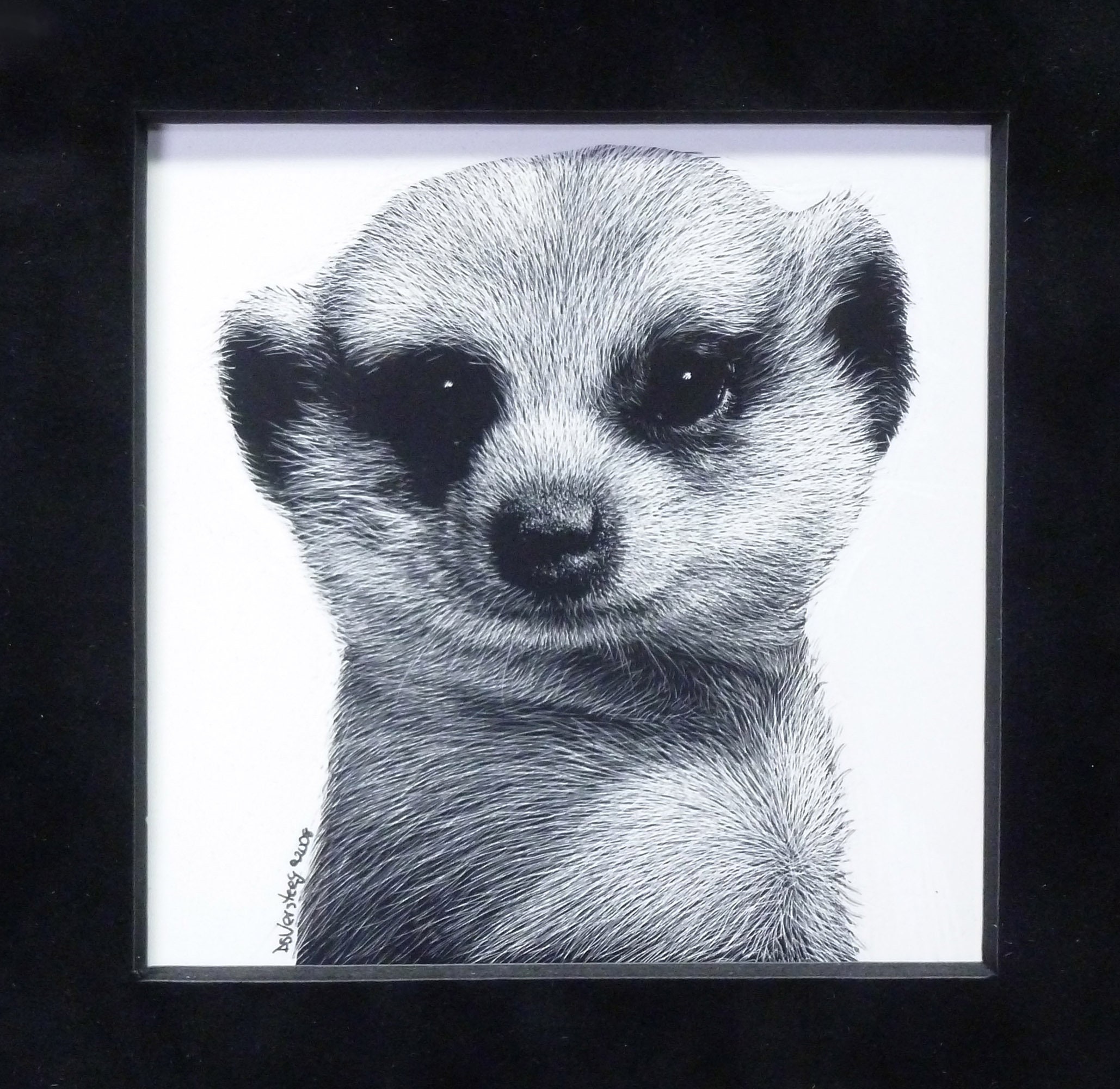 Meerkat, Kalahari, Original, Scratchboard, Drawing, Framed, Art ...
