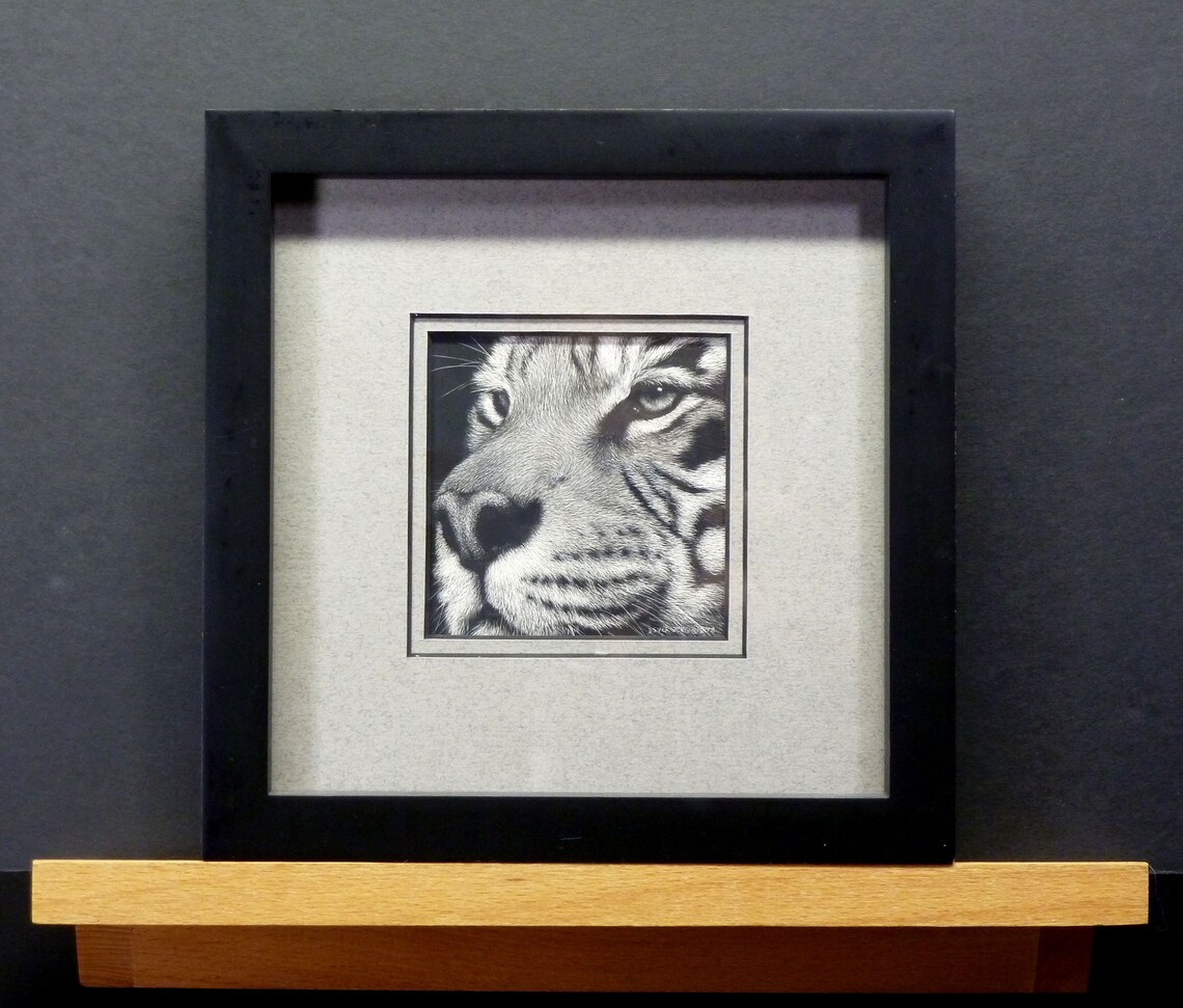Tiger, Cat, Original, Drawing, Scratchboard, Animals, Wildlife, Black ...
