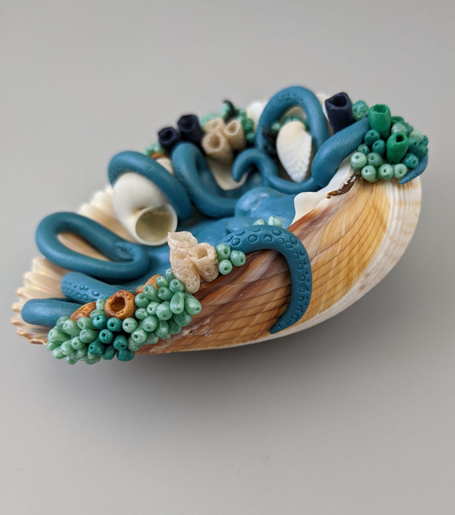 Teal Blue Octopus in a Sea Shell. Polymer Clay Sculpture. - Etsy