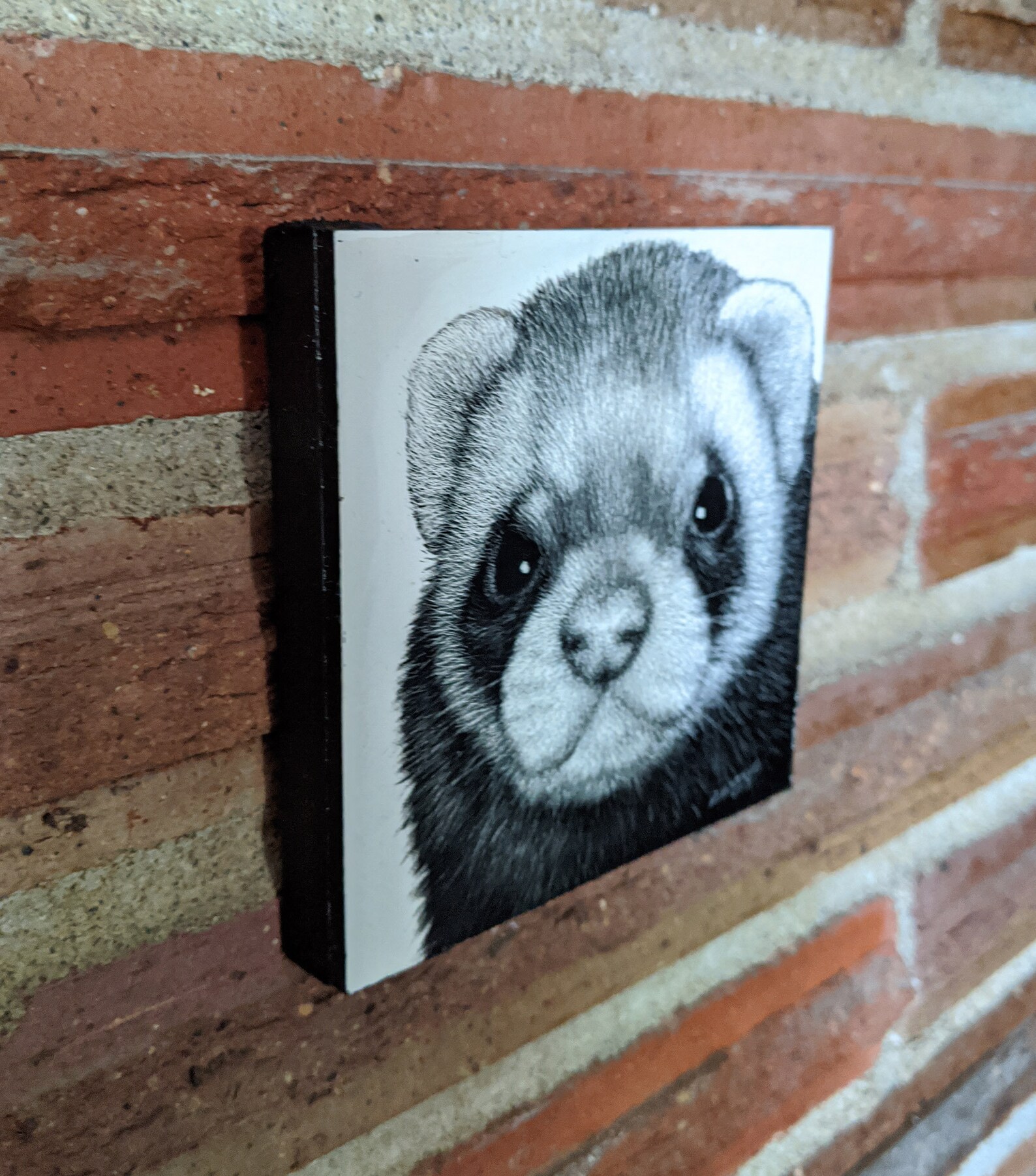 Ferris, Ferret, Scratchboard, Original, Drawing, Mustelidae, Wildlife ...
