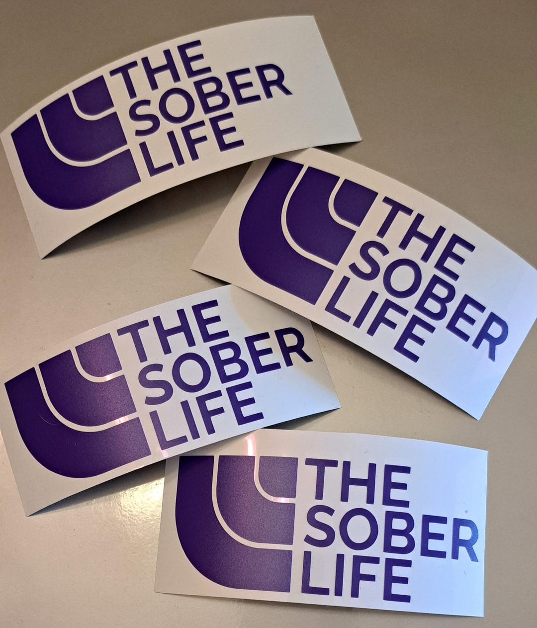 4" the Sober Life Decal Recovery Sticker - Etsy
