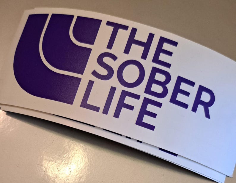 4" the Sober Life Decal Recovery Sticker - Etsy