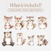 Watercolor Cute Woodland Animals Clipart, Woodland Baby Shower Clipart ...